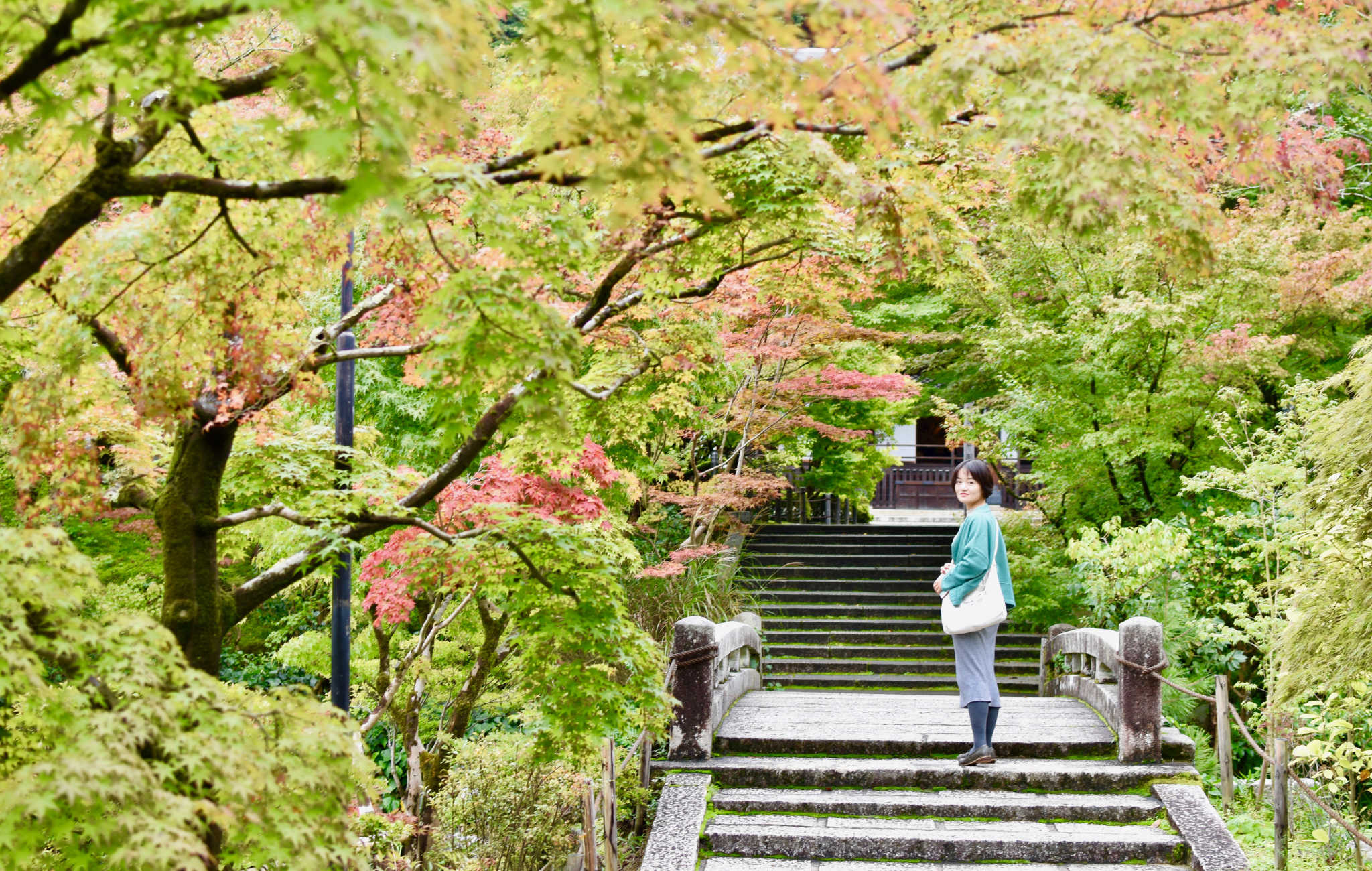 Quand Partir En Voyage Au Japon Et D couvrir Tokyo Quand Partir En Voyage Au Japon Et D couvrir Tokyo